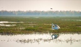 Koundinya Wildlife Sanctuary curated by Thomas Cook India